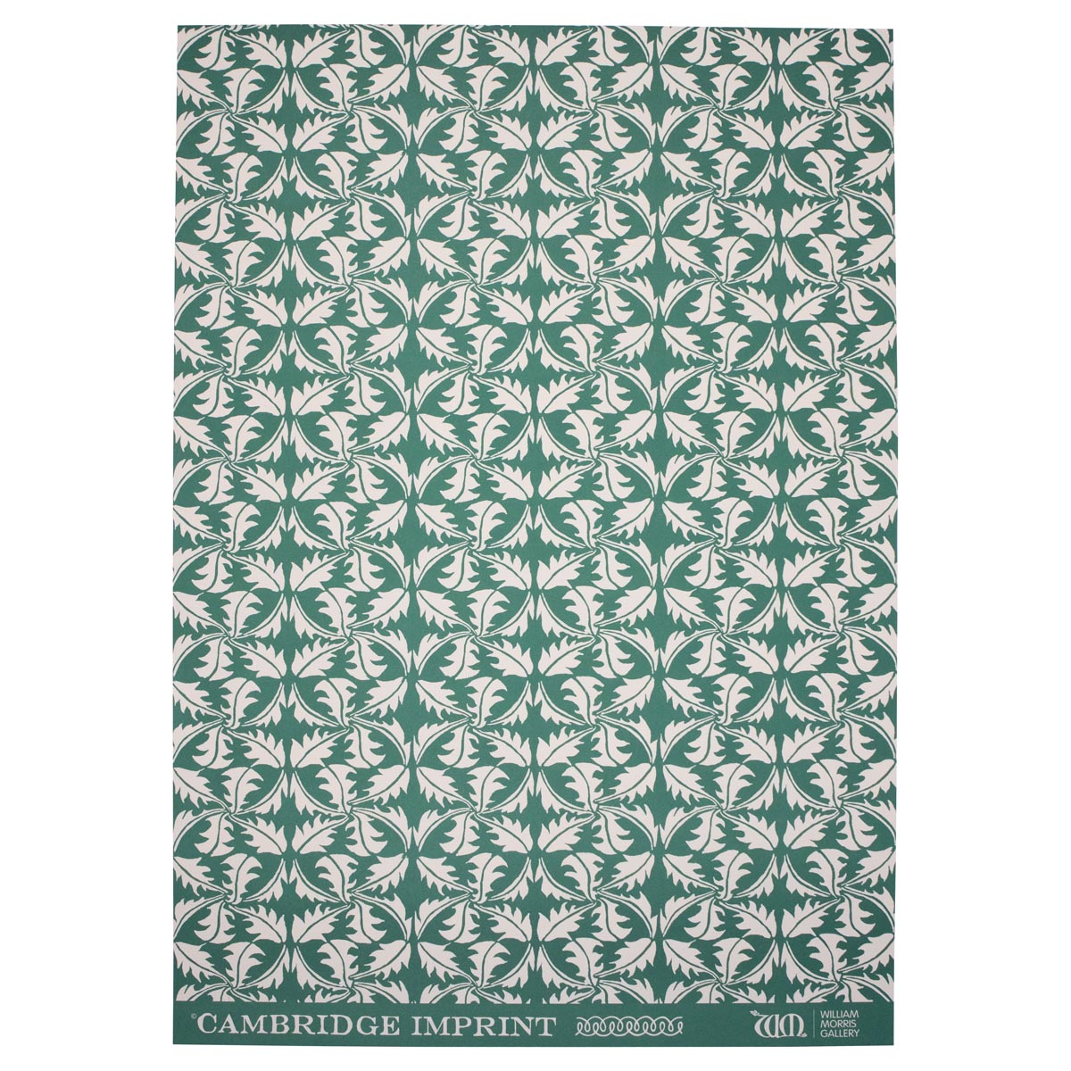 Dandelion Bottle Green | Patterned Paper | Cambridge Imprint