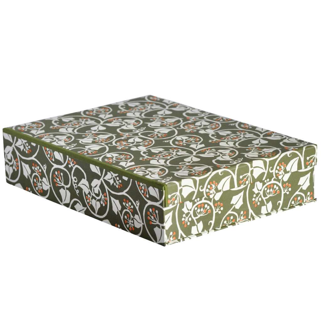 A4 Box File Ivy Swamp Green and Orange - Cambridge Imprint